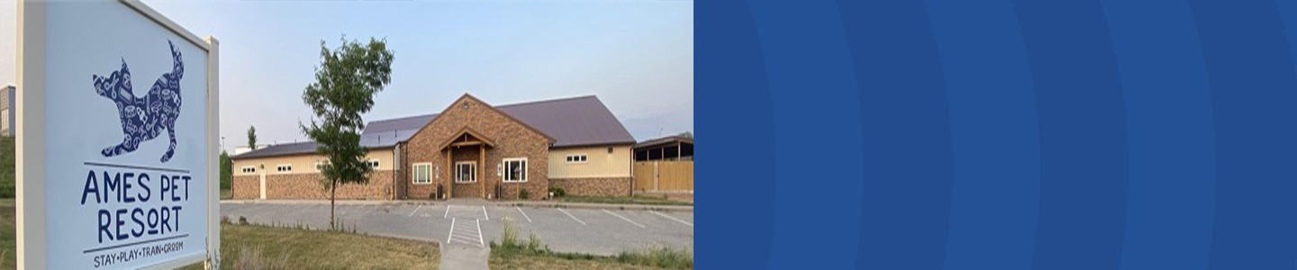 Gallery | Ames, IA | Ames Pet Resort